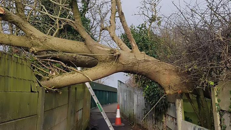 Storm Damage Repairs – DW Treecare