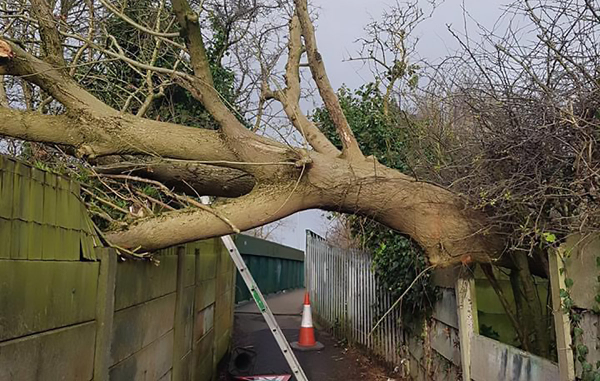 Storm Damage Repairs - DW Treecare