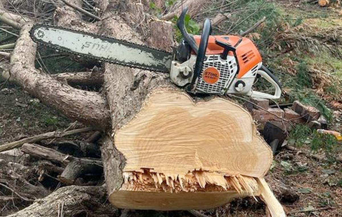 Tree Removal - DW Treecare